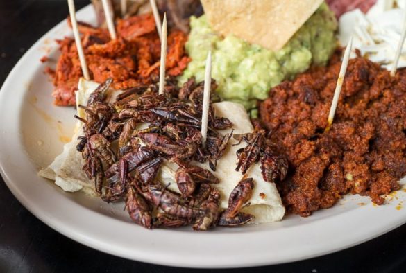 Chapulines. Beneficios, propiedades y cómo se preparan